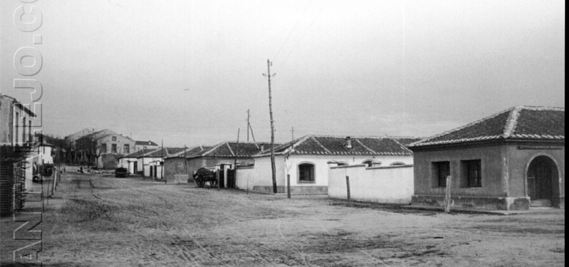 Home - CANTALEJO.COM